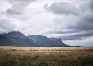 Wallaby - Lenah Game Meats.