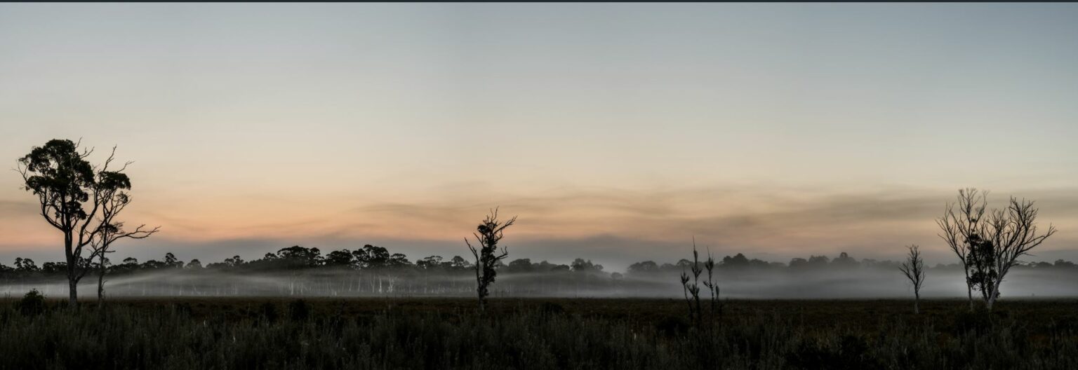 Wallaby - Lenah Game Meats.